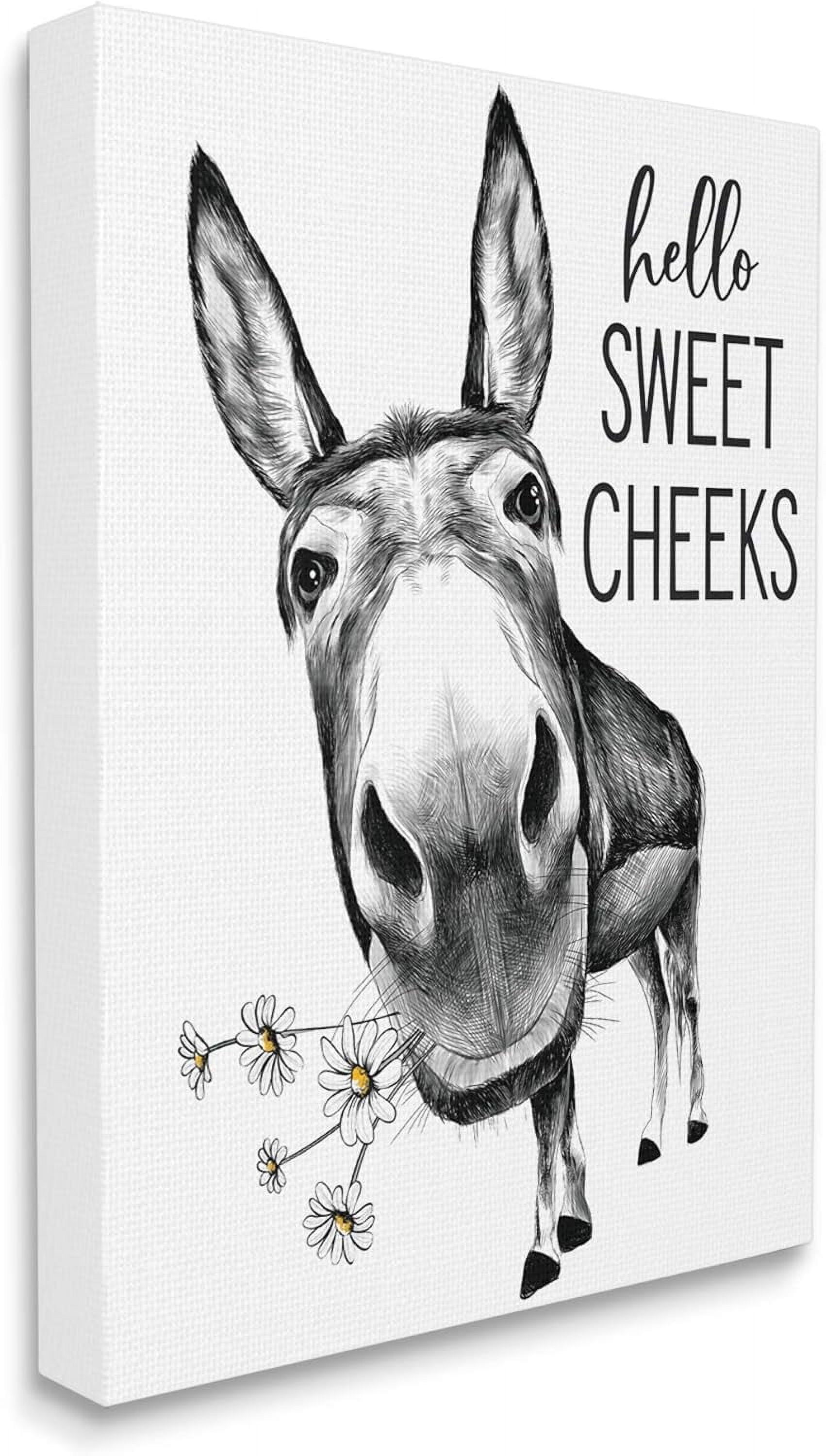 ADALE Hello Sweet Cheeks Animal Humor Donkey Daisies, Designed by ...