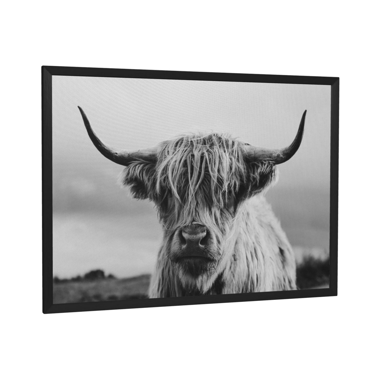 ADALE Highland Cow Wall Art Black and White Animal Wall Decor Canvas ...