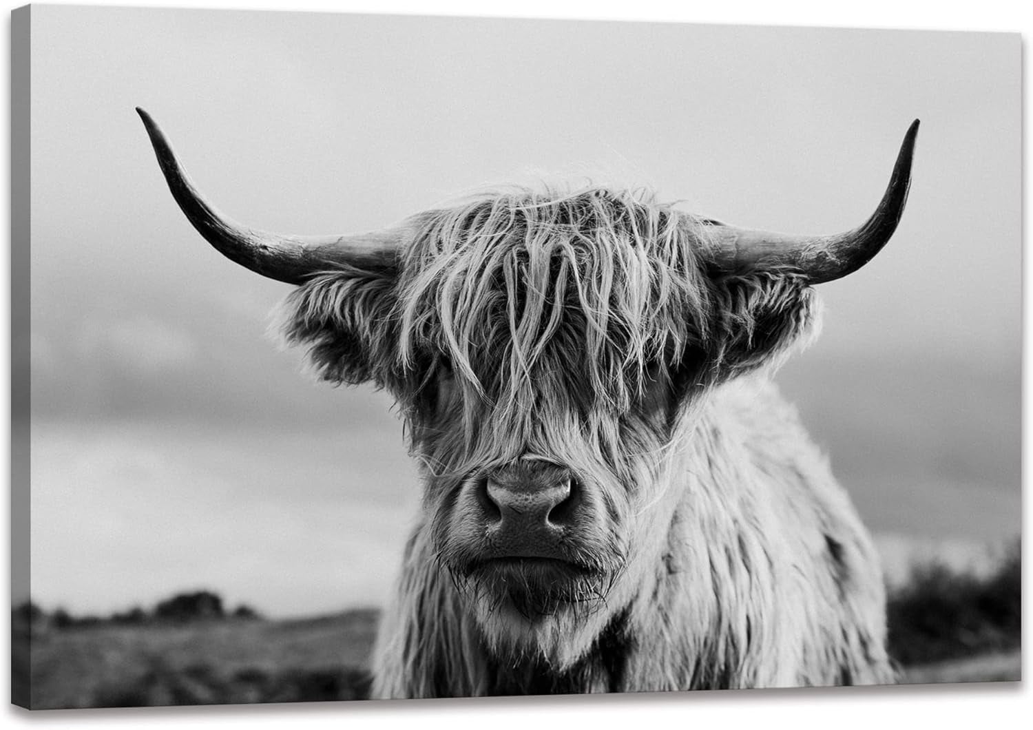 ADALE Highland Cow Wall Art Black and White Animal Wall Decor Canvas ...