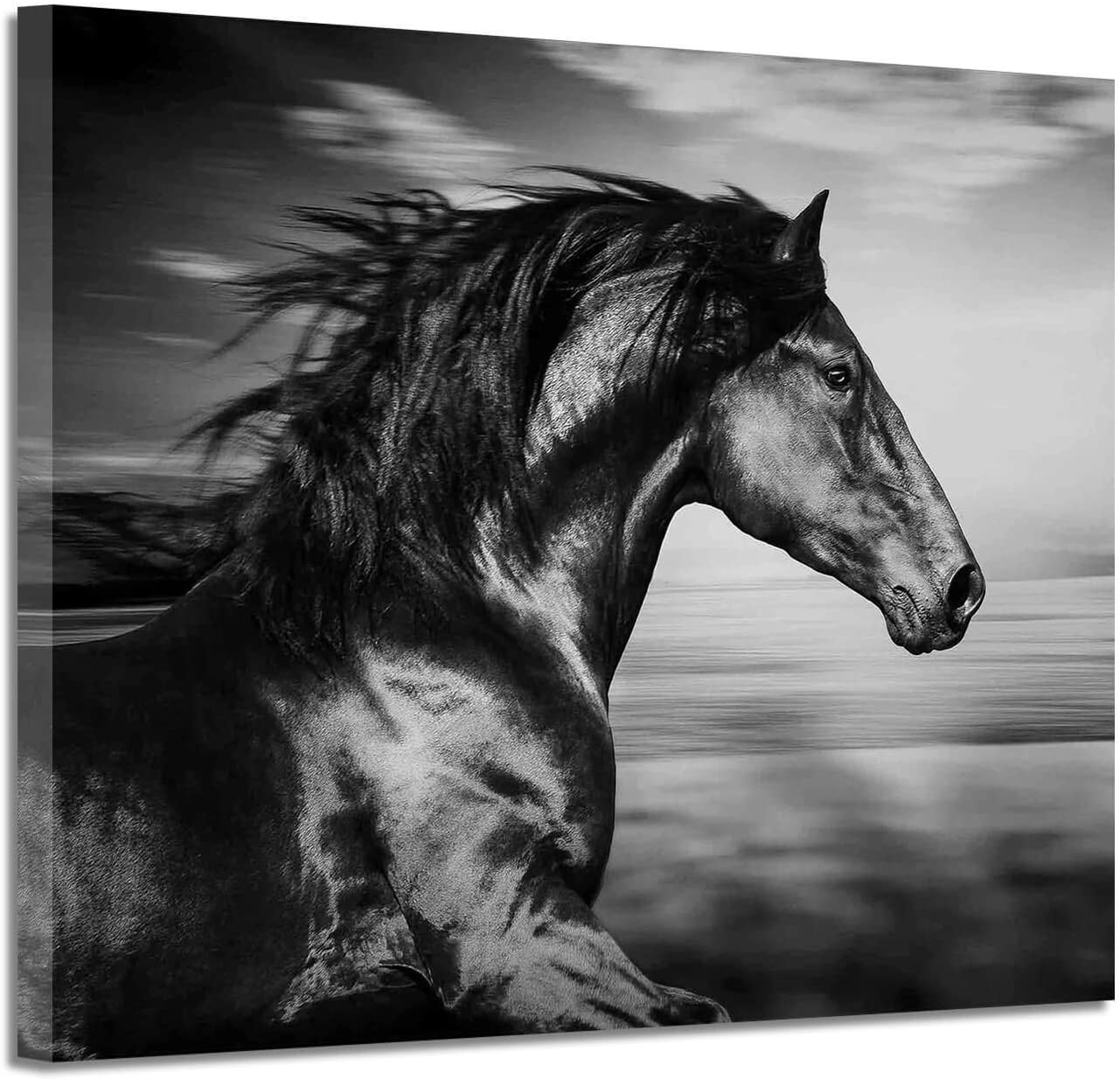 ADALE Horse Picture Animal Art Prints: Wild Black Stallion Graphic ...