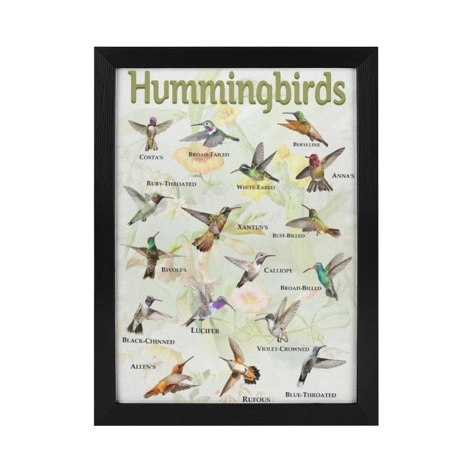 ADALE Hummingbird Wall Art Wall Decor for Living Room Home Black Framed ...