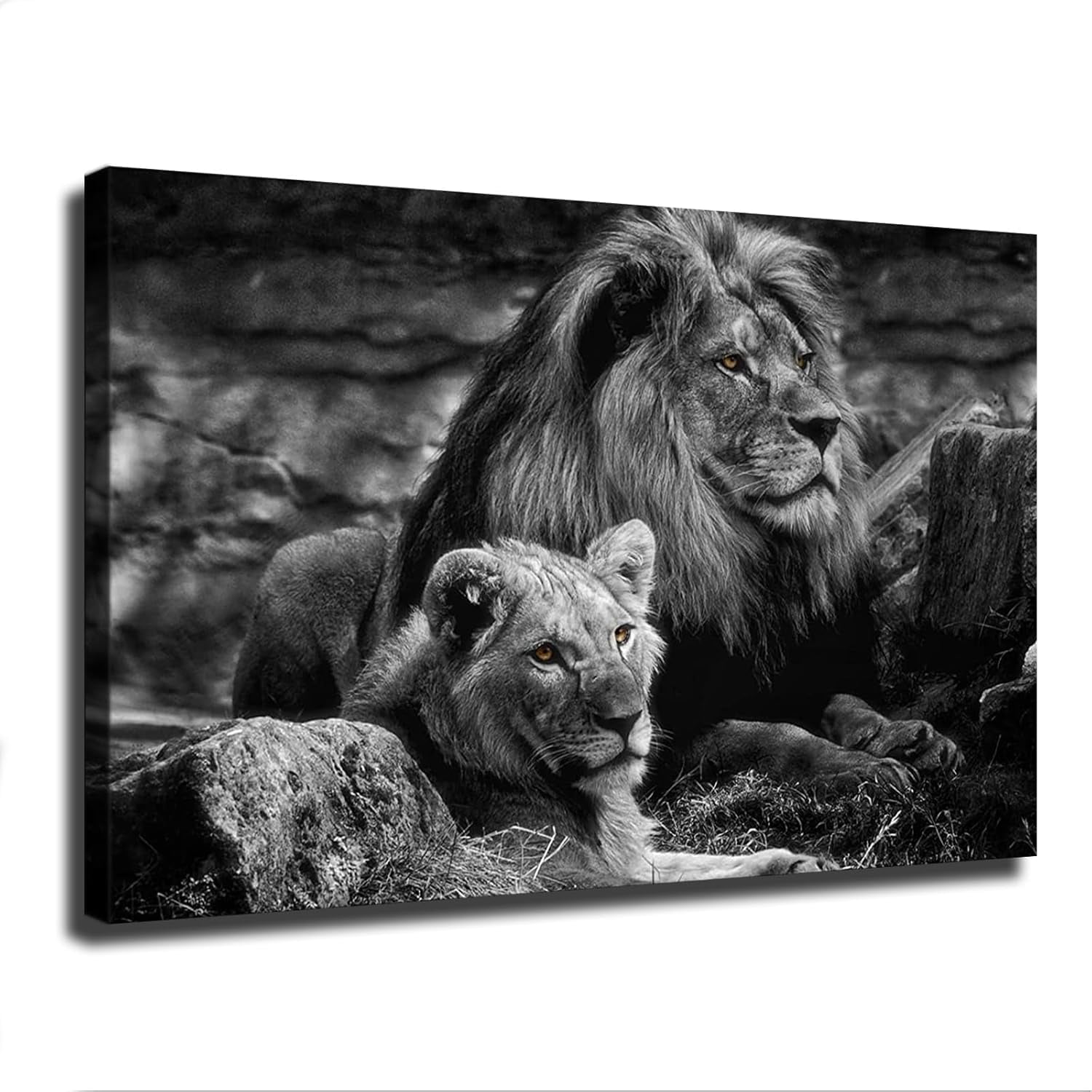 ADALE Lion and Lioness Canvas Wall Art Black and White Lion Poster Wild ...