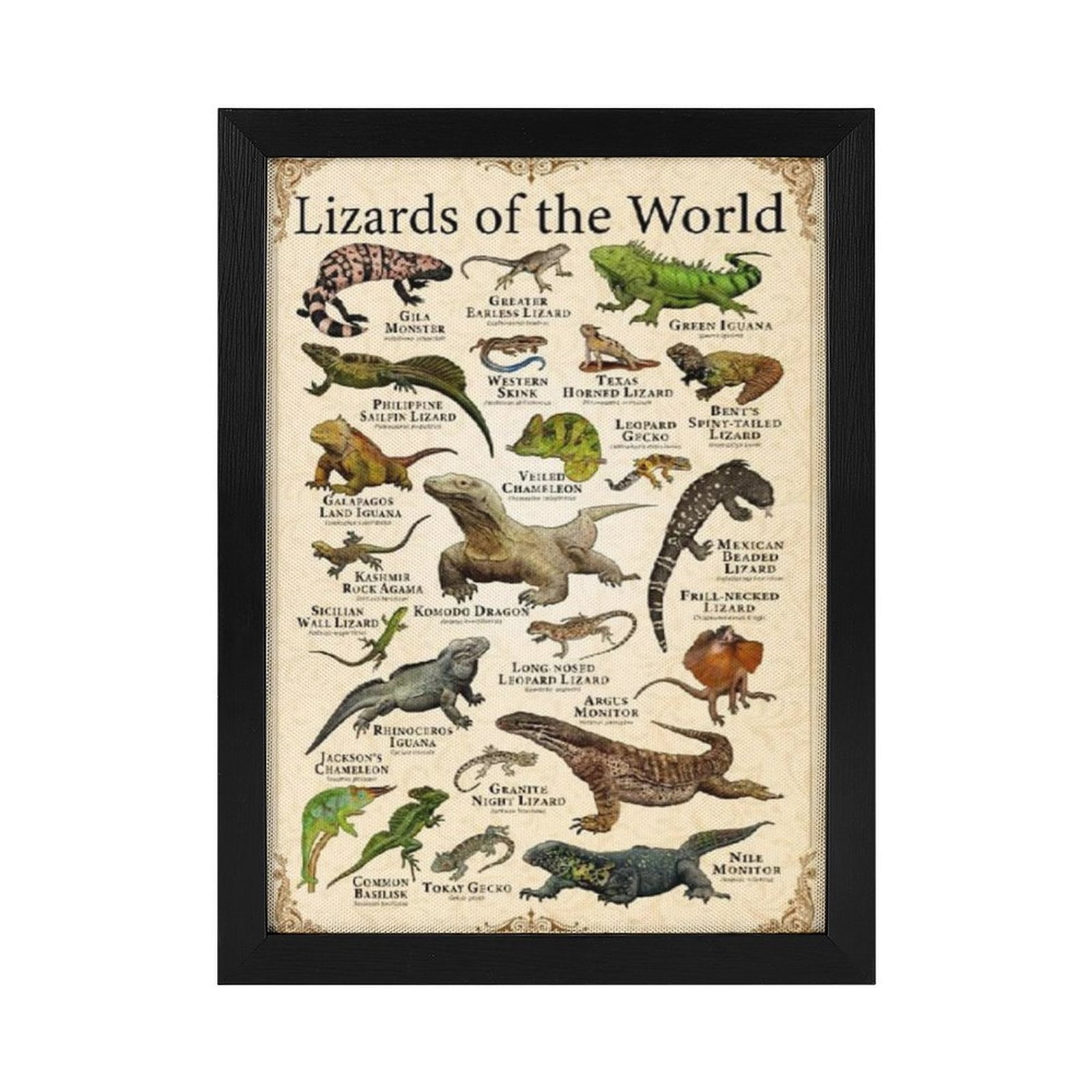ADALE Lizard Wall Art Animal Posters Educational Wall Art Lizard Prints ...