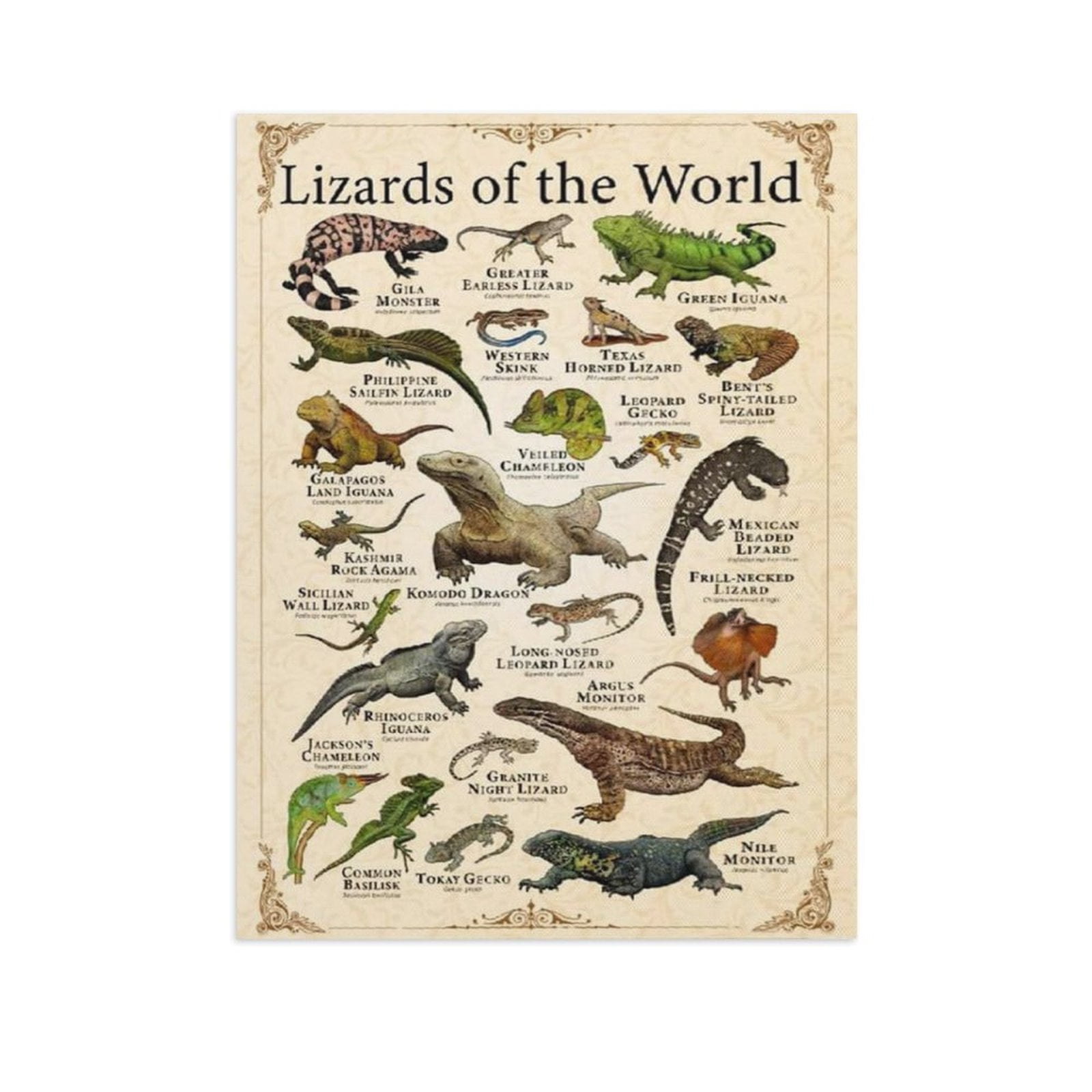 ADALE Lizard Wall Art Animal Posters Educational Wall Art Lizard Prints ...