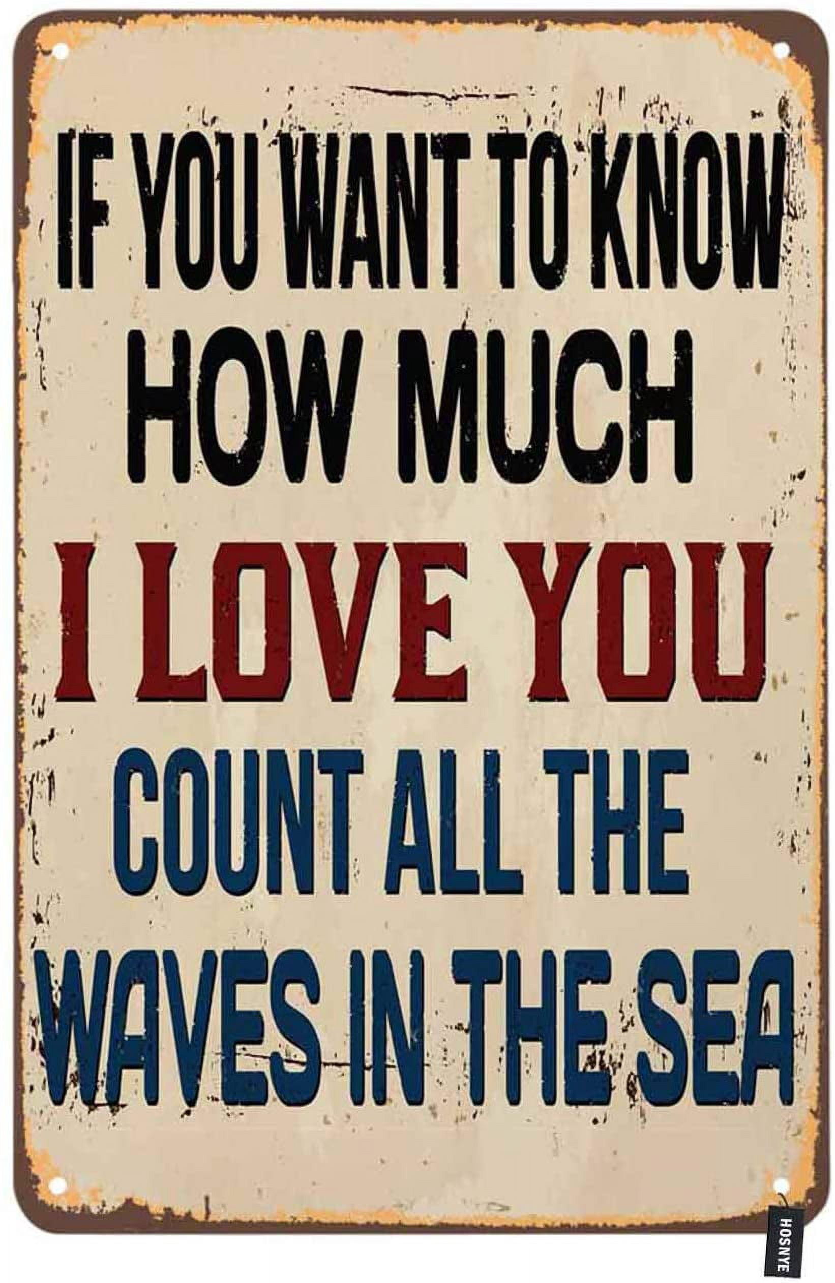 ADALE in Love Tin Sign Vintage If You Want to Know How Much I Love You ...