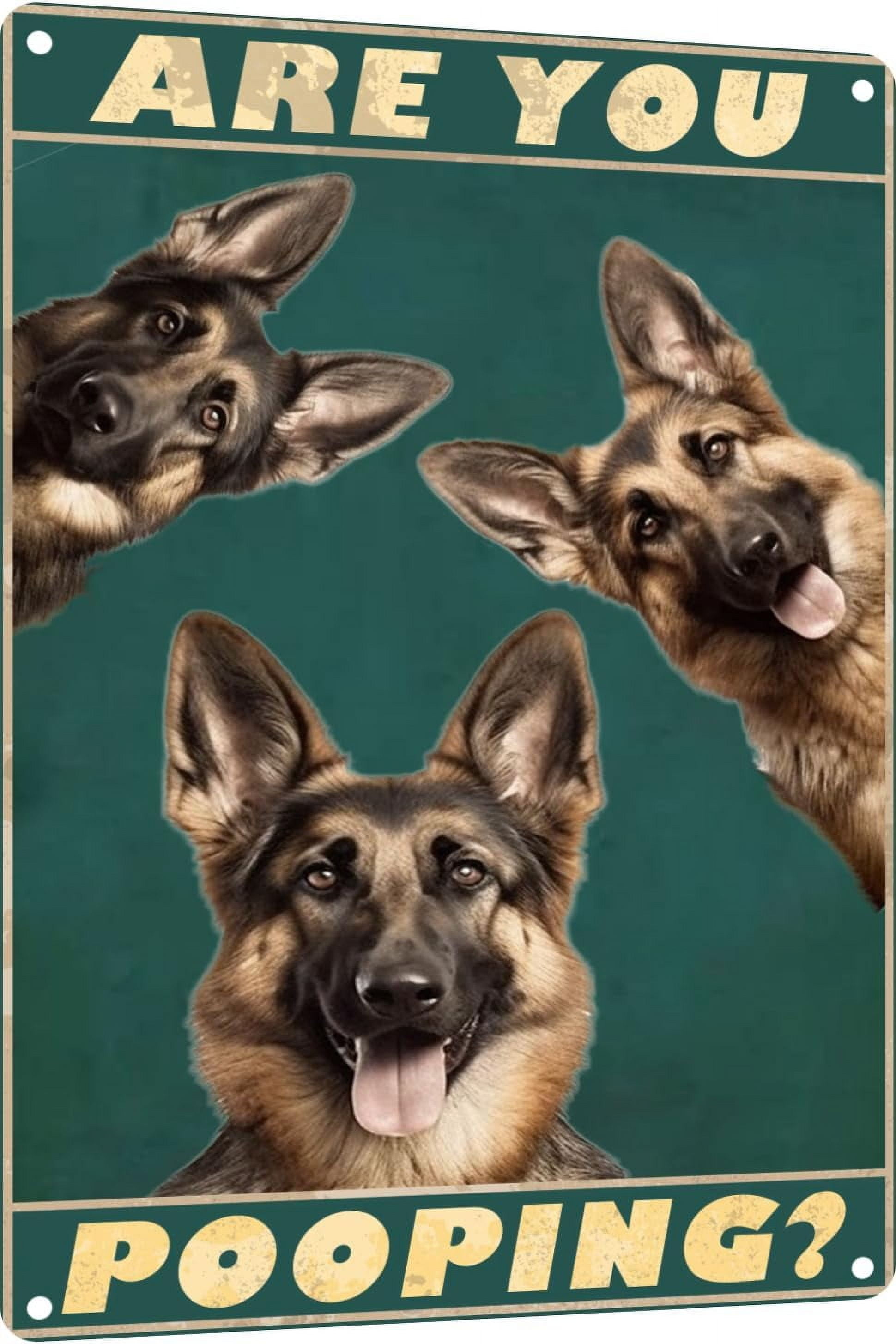 ADALE Metal Sign German Shepherd Are You Pooping Sign Vintage Funny ...