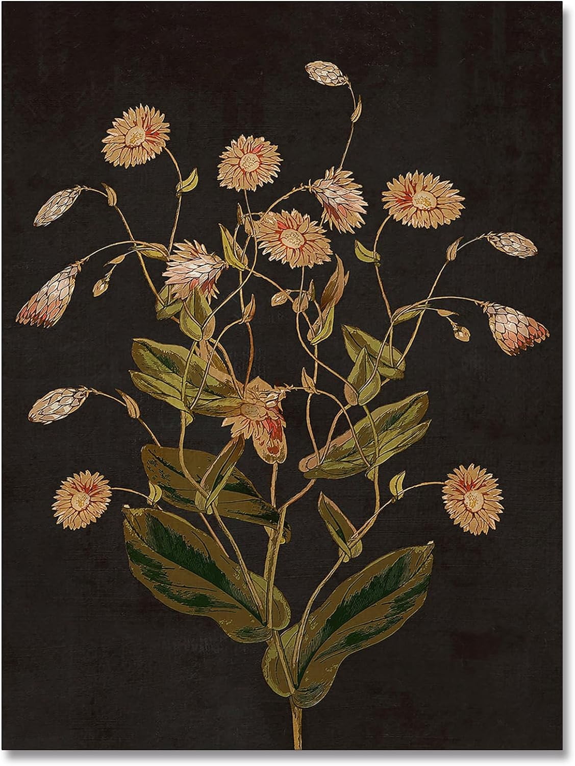 ADALE Moody Decor Vintage Botanical Floral Wall Art Victorian Gothic ...