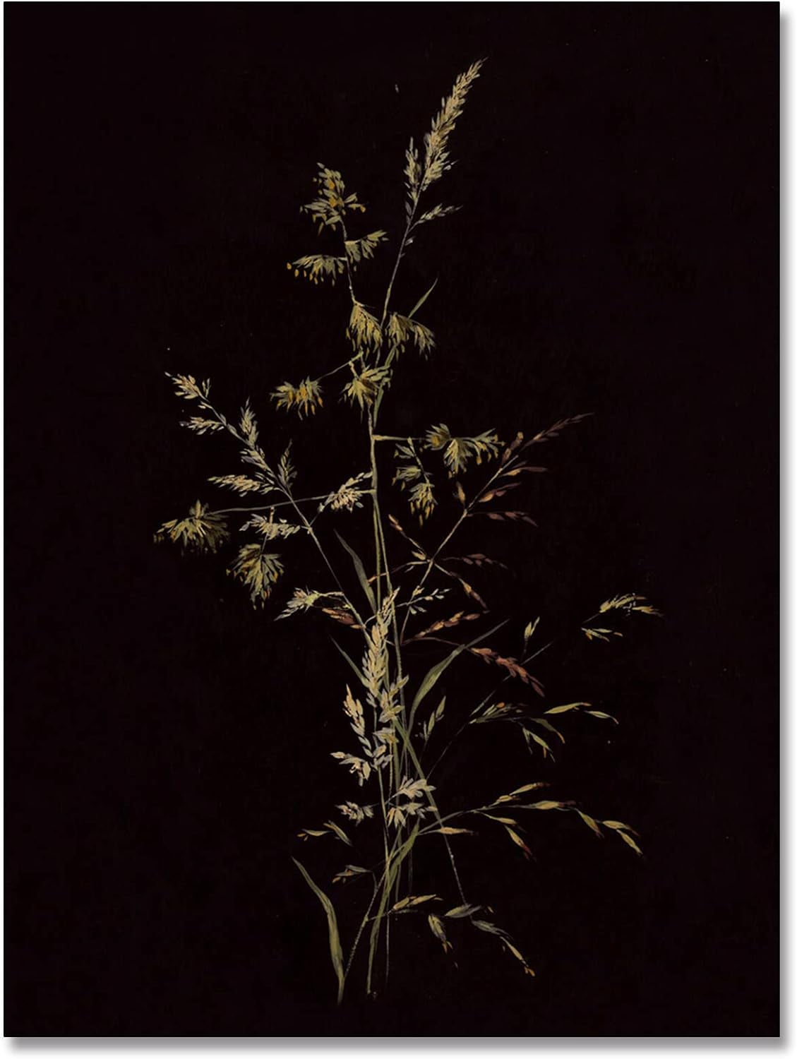 ADALE Moody Decor Vintage Botanical Floral Wall Art Victorian Gothic ...