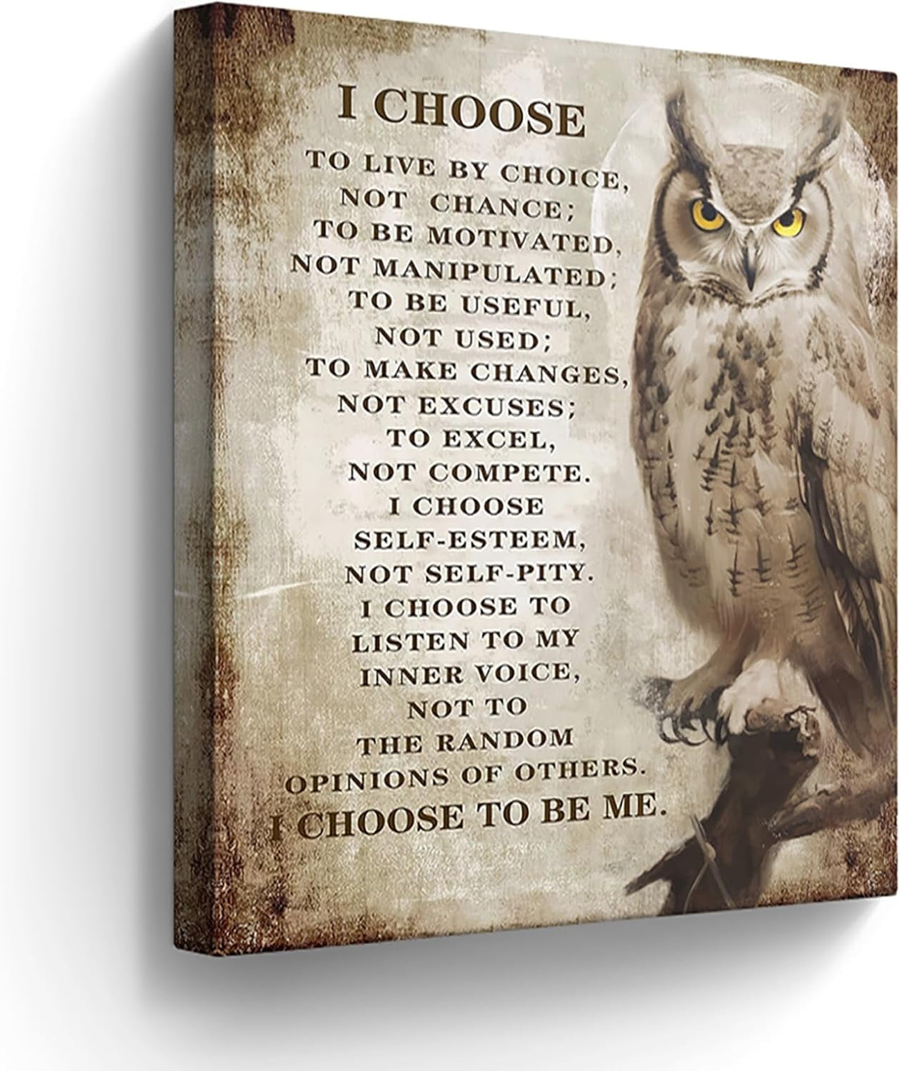 ADALE Motivational Owl Canvas Wall Art Christian Owl Pictures Wall ...