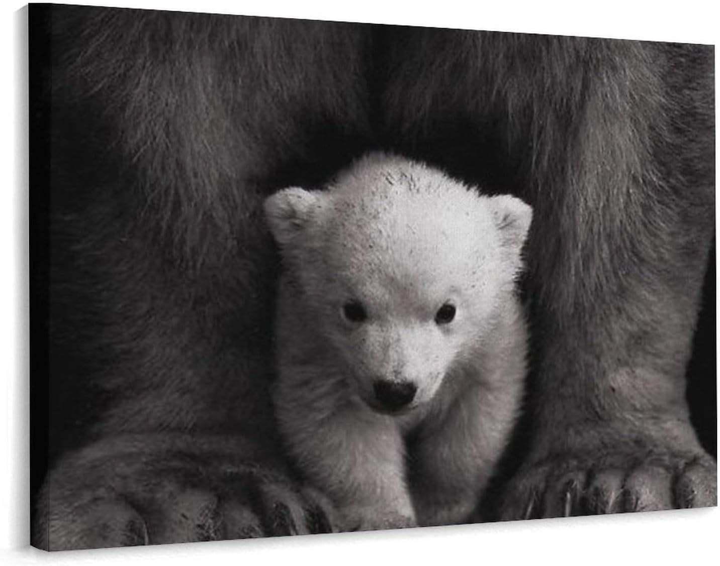 ADALE Poster Retro Black And White Animal Print Poster Home Decoration ...