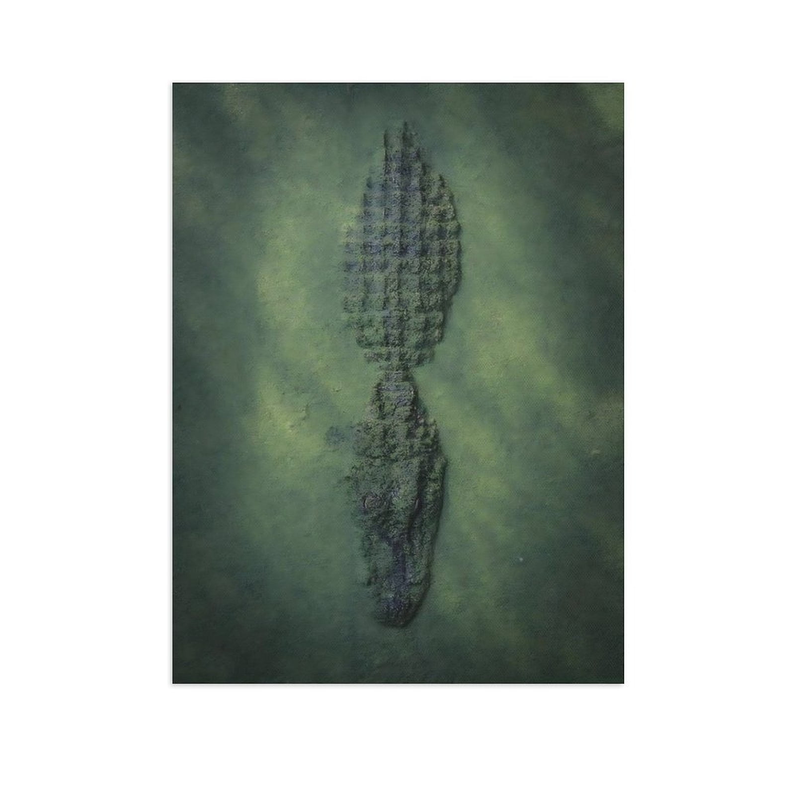 ADALE Posters Crocodile Wild Animal Wall Art Alligator Poster Green ...