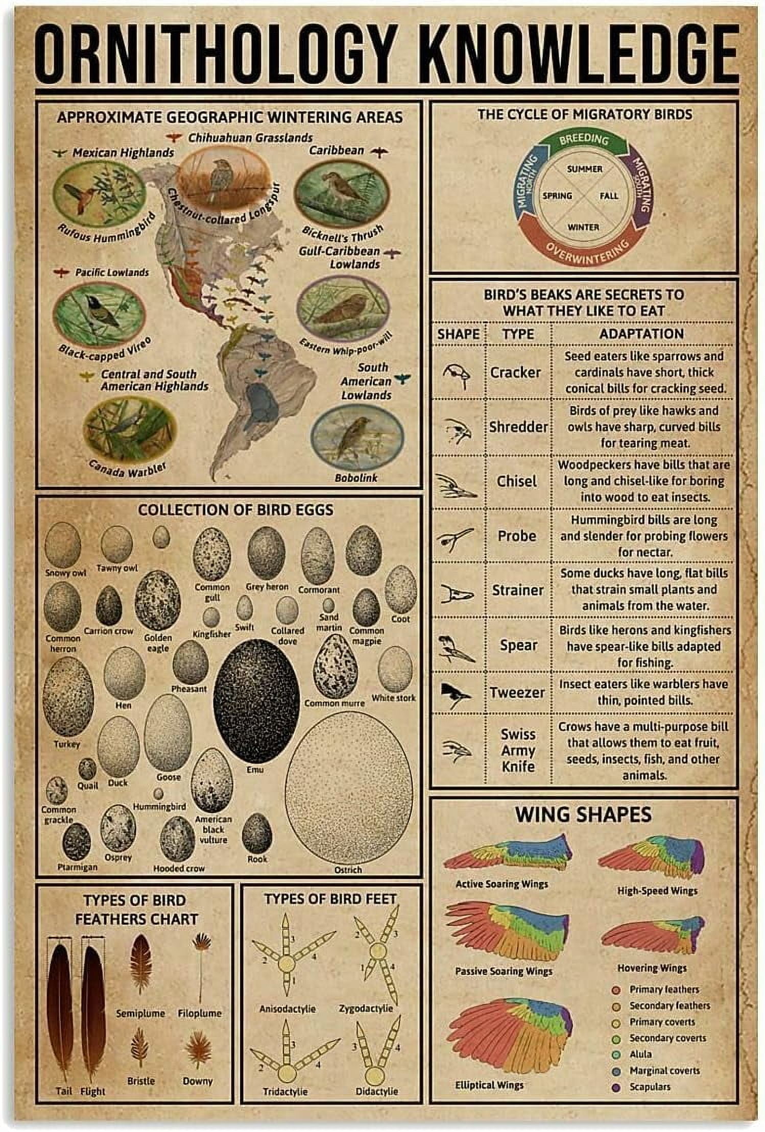 ADALE Retro Knowledge Art Poster Prints 7 (Piano Knowledge Vertical Art ...