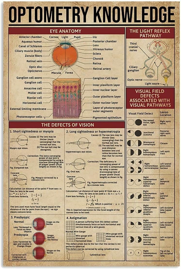 ADALE Retro Knowledge Art Poster Prints 7 (Piano Knowledge Vertical Art ...
