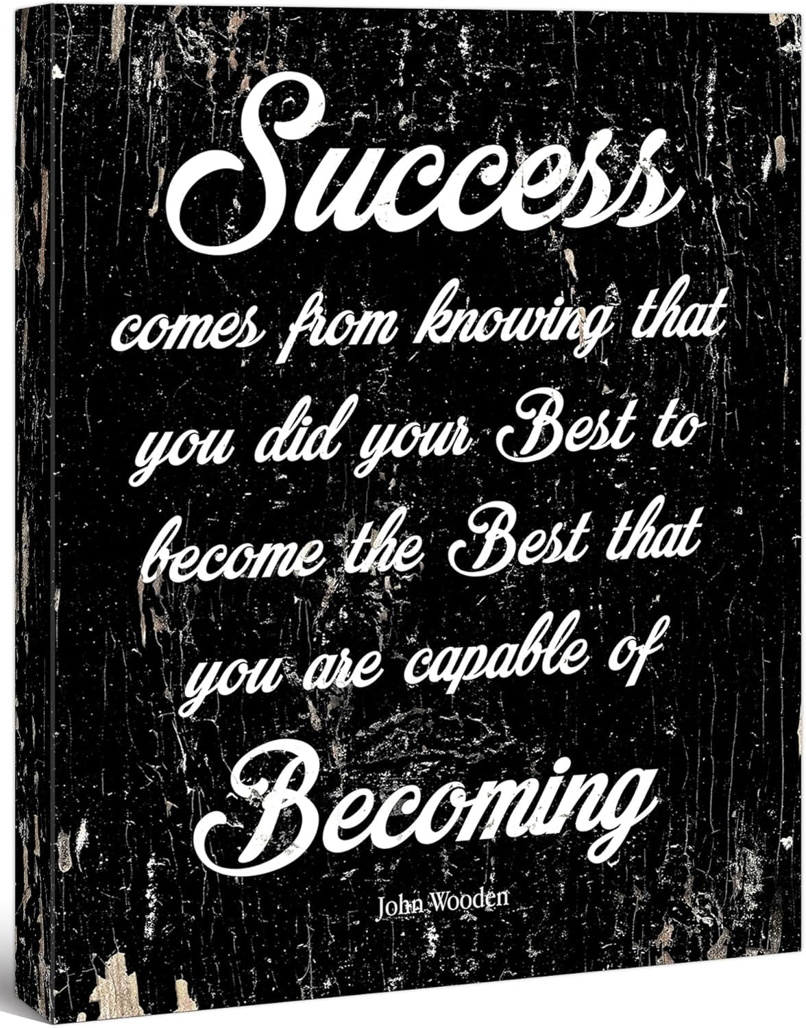 ADALE Success Comes From Knowg That You Did Your Best Motivational ...