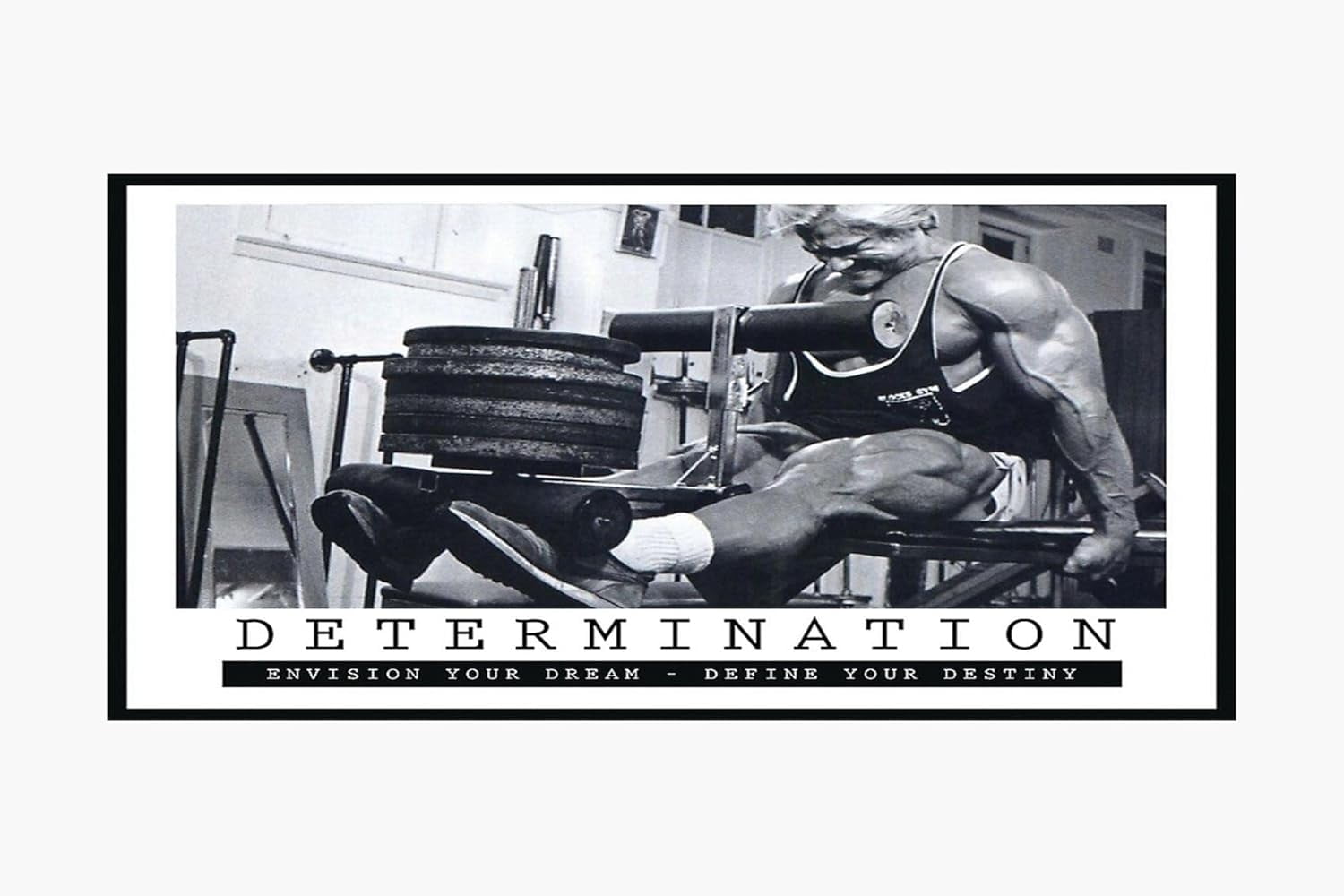 ADALE Tom Platz - Bodybuilding - Motivation Poster -Unframed Oil ...