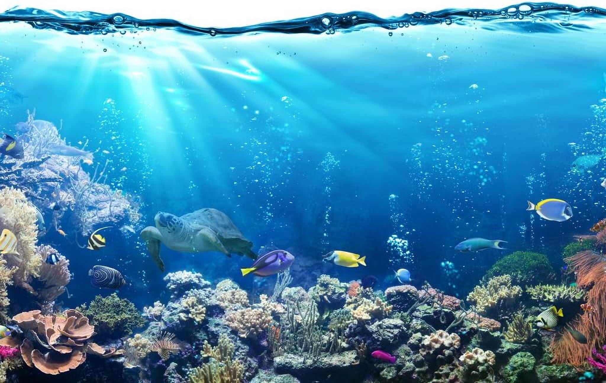 ADALE Tropical Fish Ocean Reef Nature Sea Turtle Poster Aquatic Sea ...