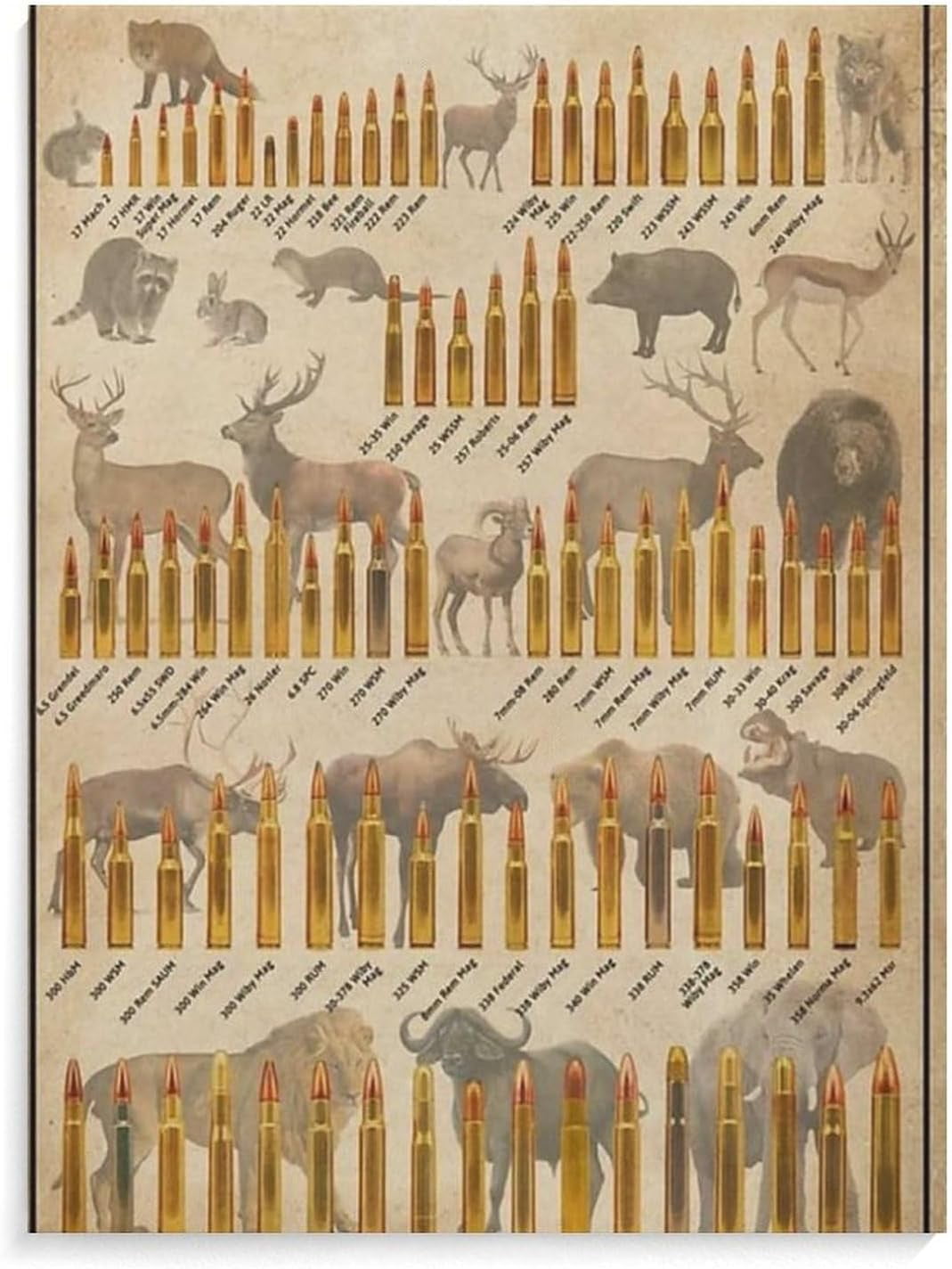 ADALE U.S. Bullet Head Chart Poster Bullet Caliber Type Poster Military ...