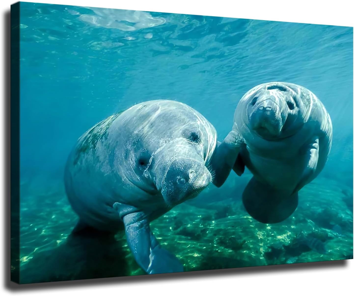 ADALE Underwater Sea Animal Manatee Poster Canvas Picture Printing Wall ...