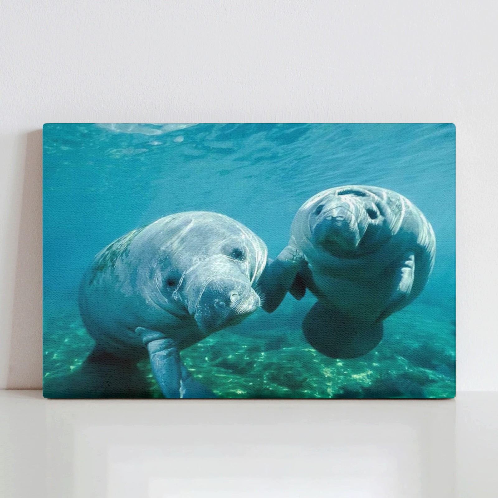 ADALE Underwater Sea Animal Manatee Poster Canvas Picture Printing Wall ...