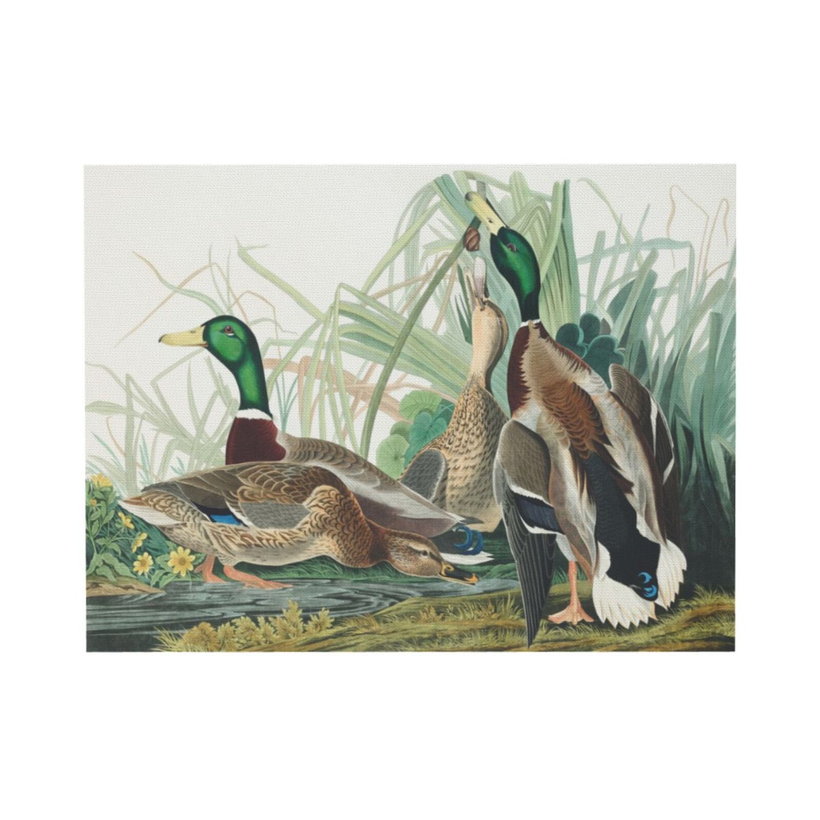 ADALE Vintage Duck Wall Art Framed Prints Mallard Duck Famous Paintings ...