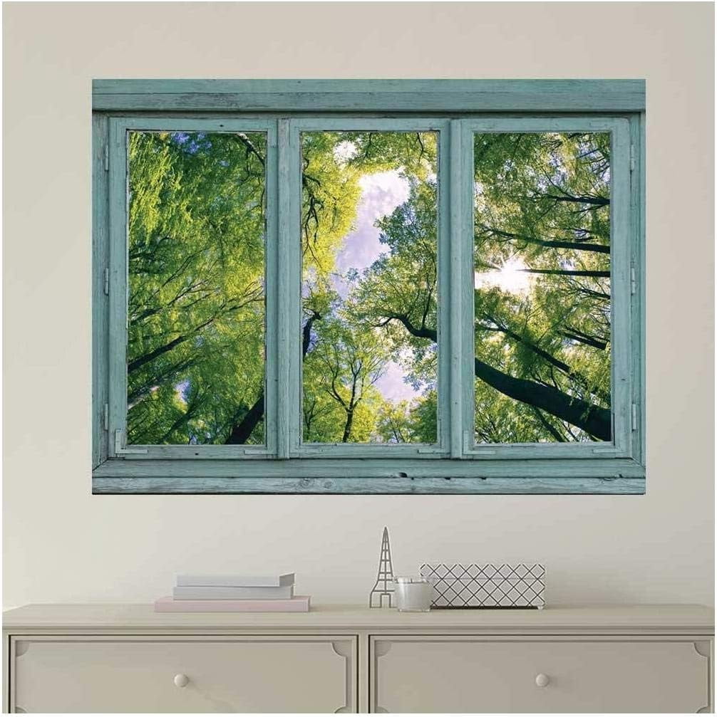 ADALE Vintage Teal Window Looking Out Into a Green Forest and The Sky ...