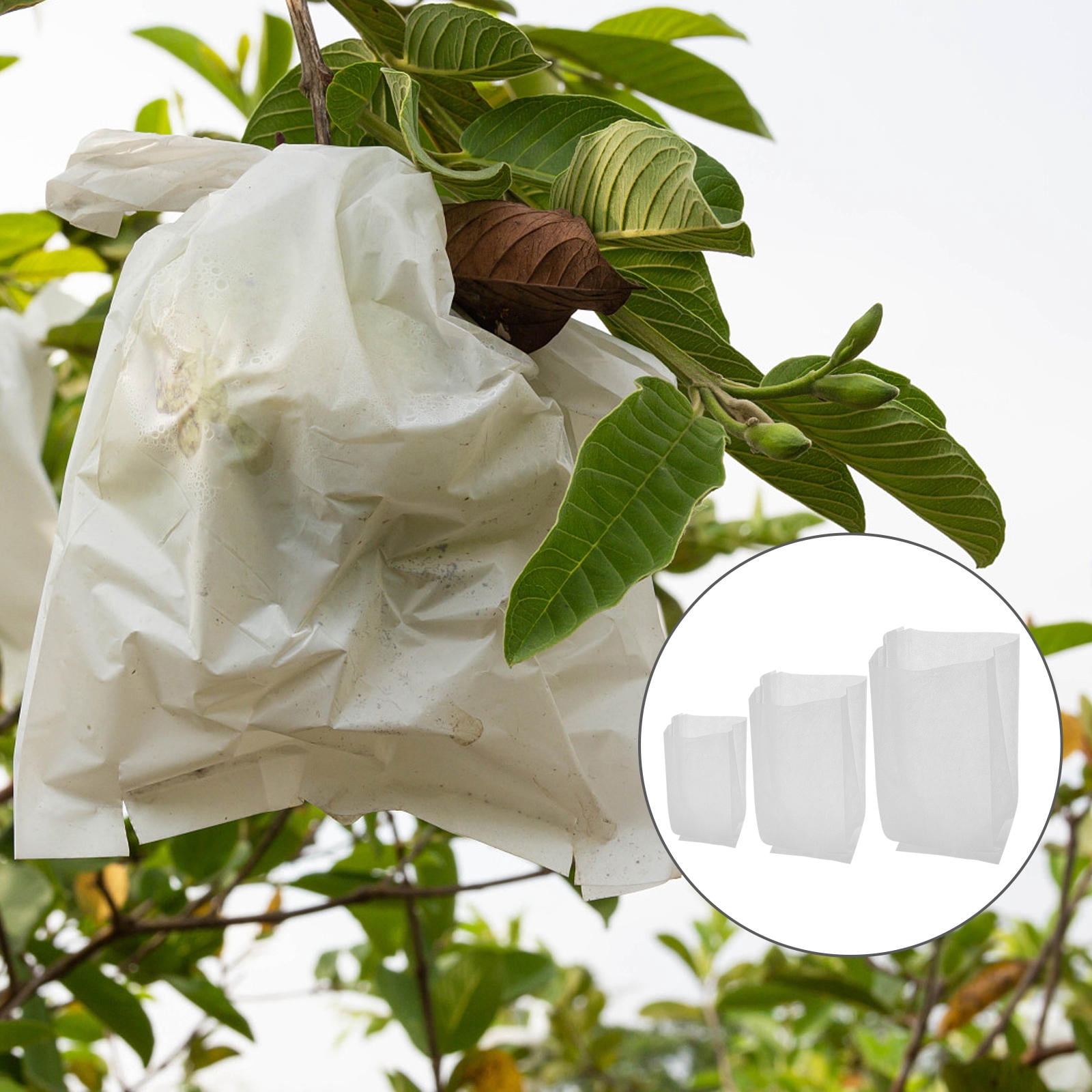 ADDHAT Nonwoven Seedling Bag Nonwoven Fabric White 300 Pcs - Walmart.com