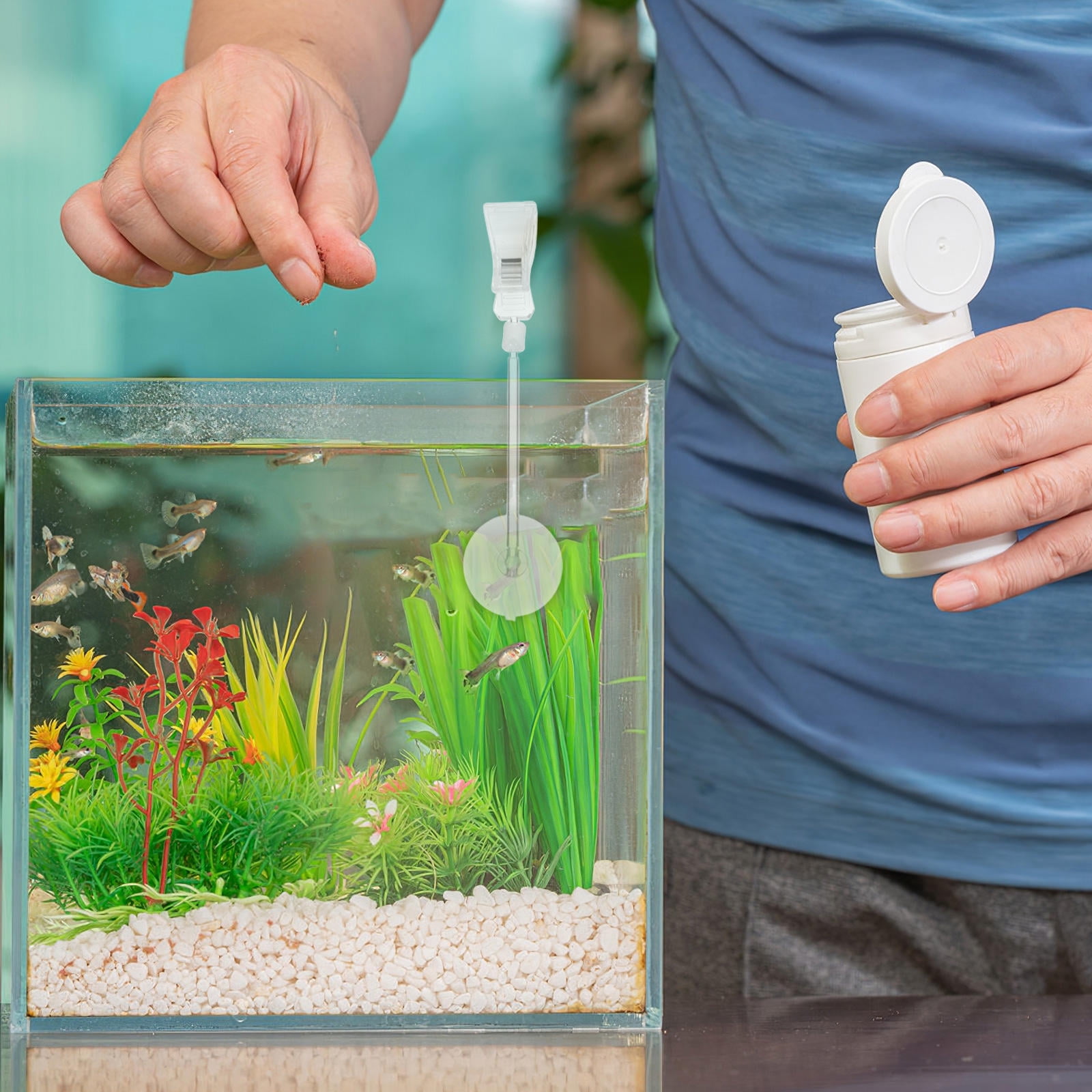 ADDHAT 3Pcs Aquarium Suction Cup Clips for Easy Installation on ...