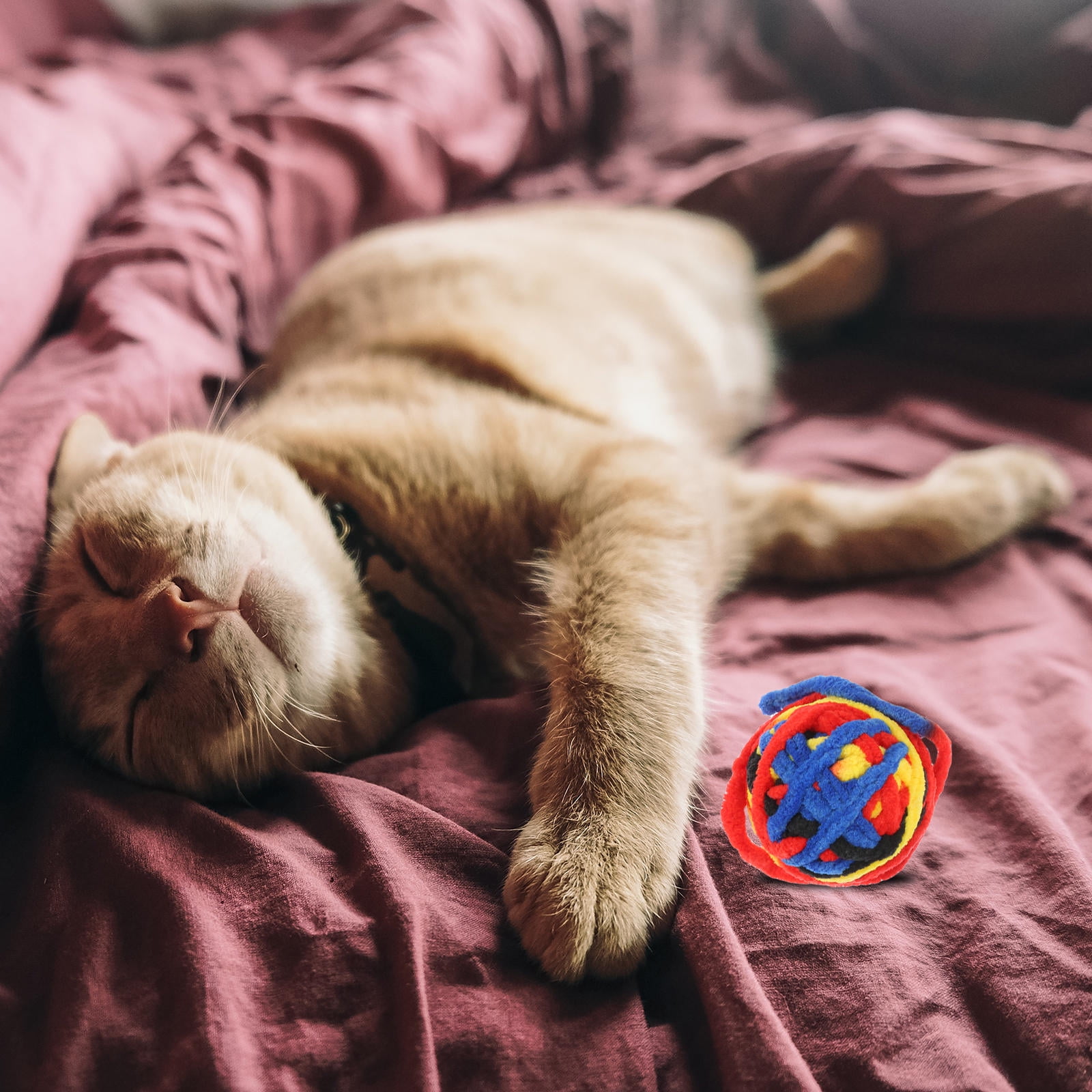 ADDHAT 4Pcs Small Cat Balls Assorted Color for Boredom Fighting ...