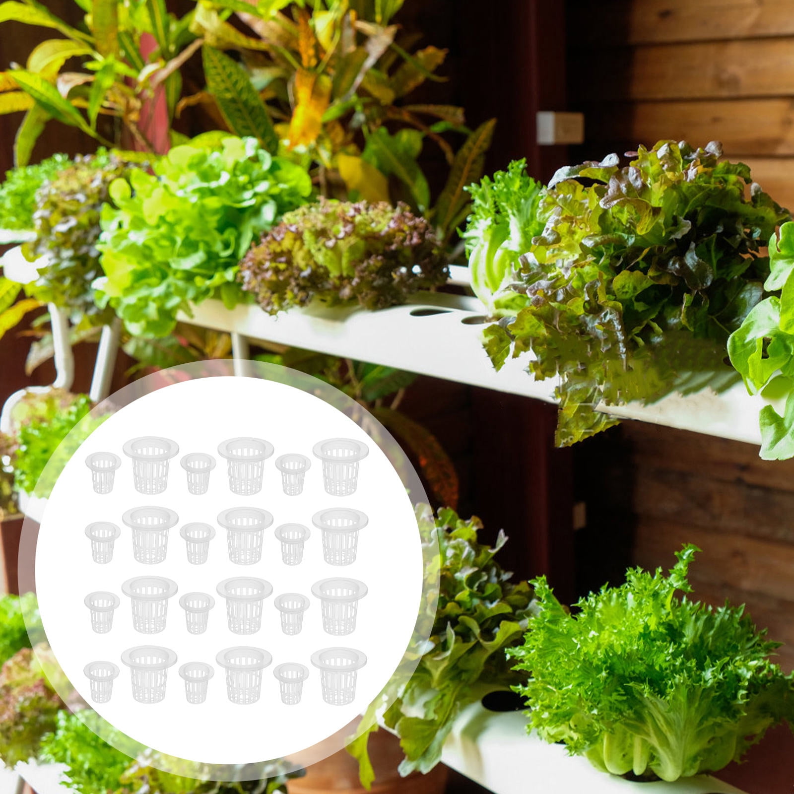 ADDHAT 60 Pack White Plastic Growth Baskets for Hydroponics and Plant ...