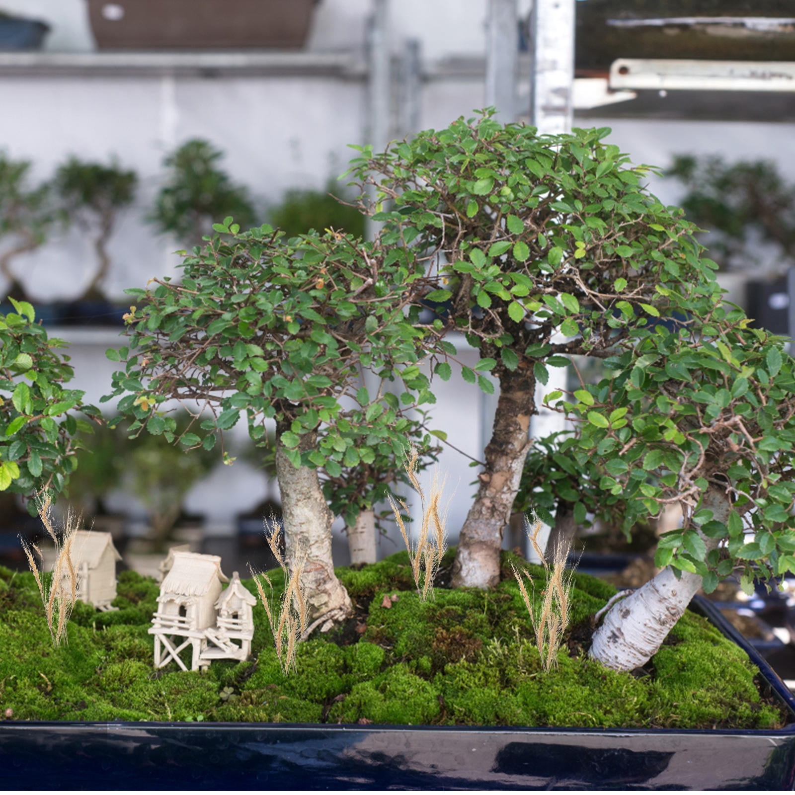 ADDHAT Realistic Resin Fake Wheat for Model Making and Diorama Multi ...