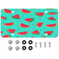 ADECORIVY Summer Fruit Watermelon License Plate, Aluminum Decorative ...