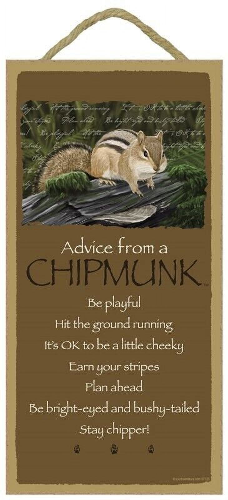 ADVICE FROM A CHIPMUNK Primitive Wood Hanging Sign 5" x 10" - Walmart ...