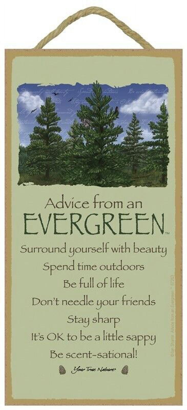 ADVICE FROM AN EVERGREEN Tree Primitive Wood Hanging Sign 5" x 10 ...