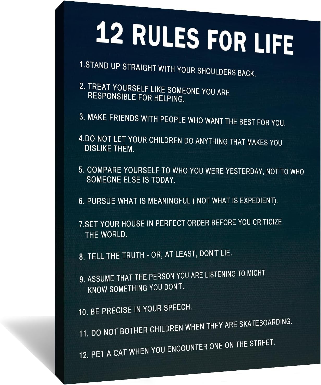 AEFER 12 Rules for Life Motivational Poster Print on Canvas for Office ...