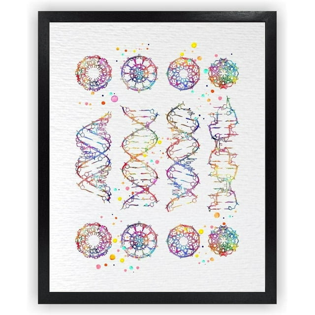 AEFER 8X10 Unframed DNA Helix Molecule A-B-C-Z-DNA Watercolor Art Print ...