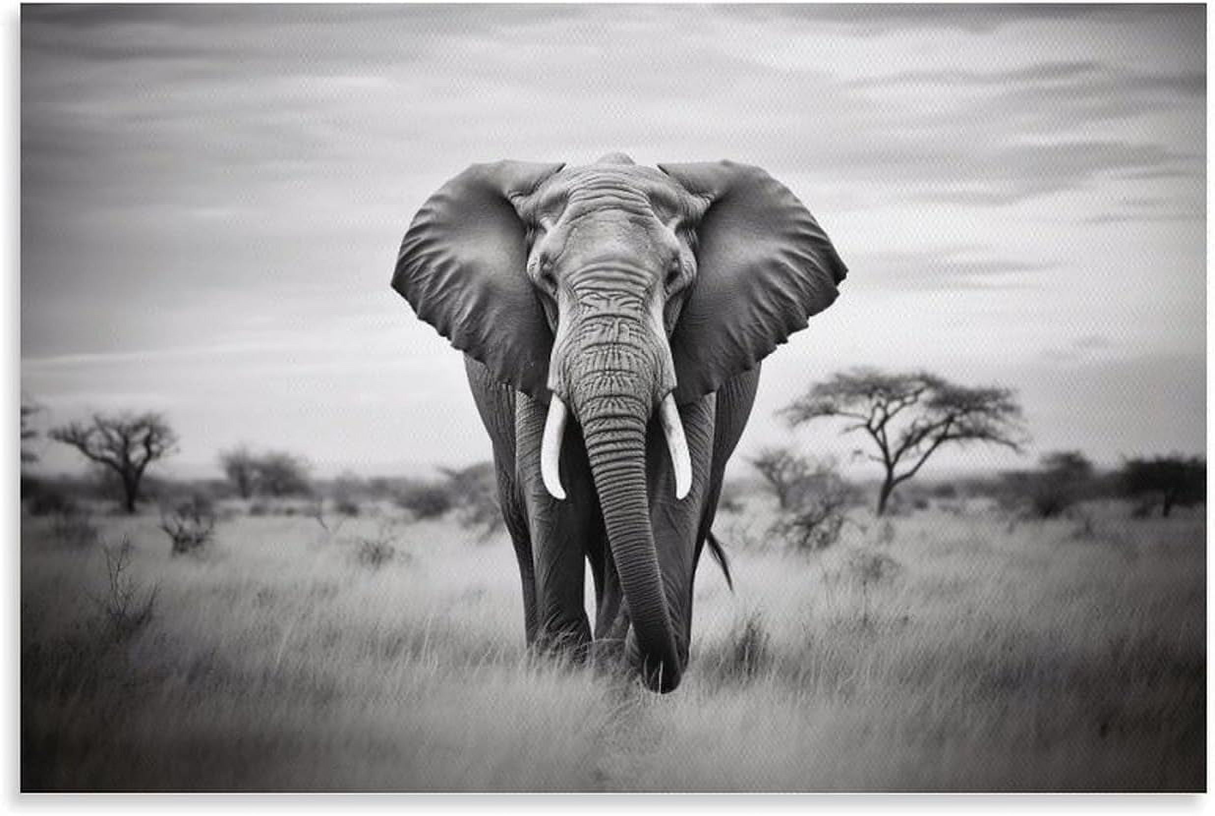 AEFER African Wild Elephant Wall Art Black And White Animal Landscape ...