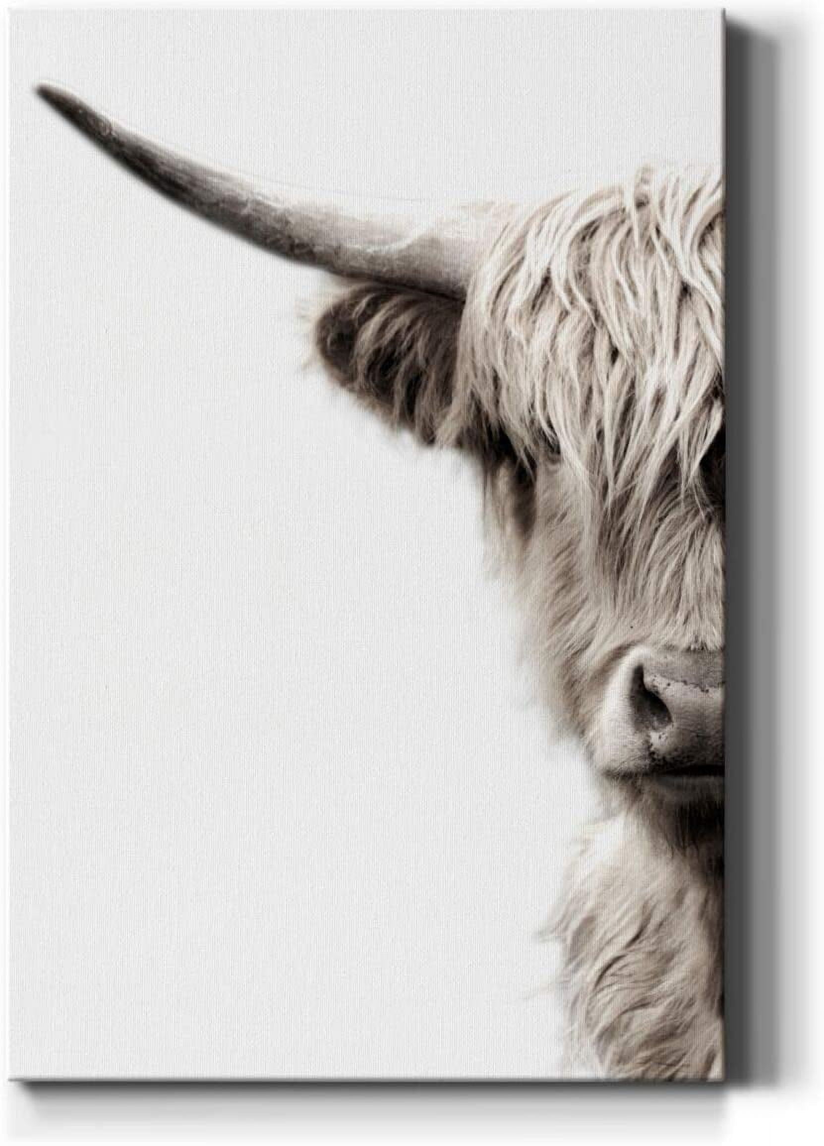 AEFER Animals Wall Art Paintings & Prints for Home Highland Wild Cattle ...