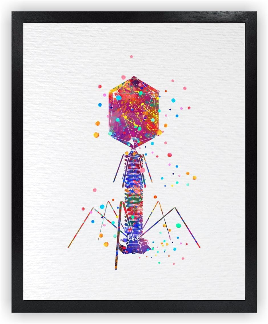 AEFER Bacteriophage Medical Art Microbiology Virus Art Biology Bacteria ...