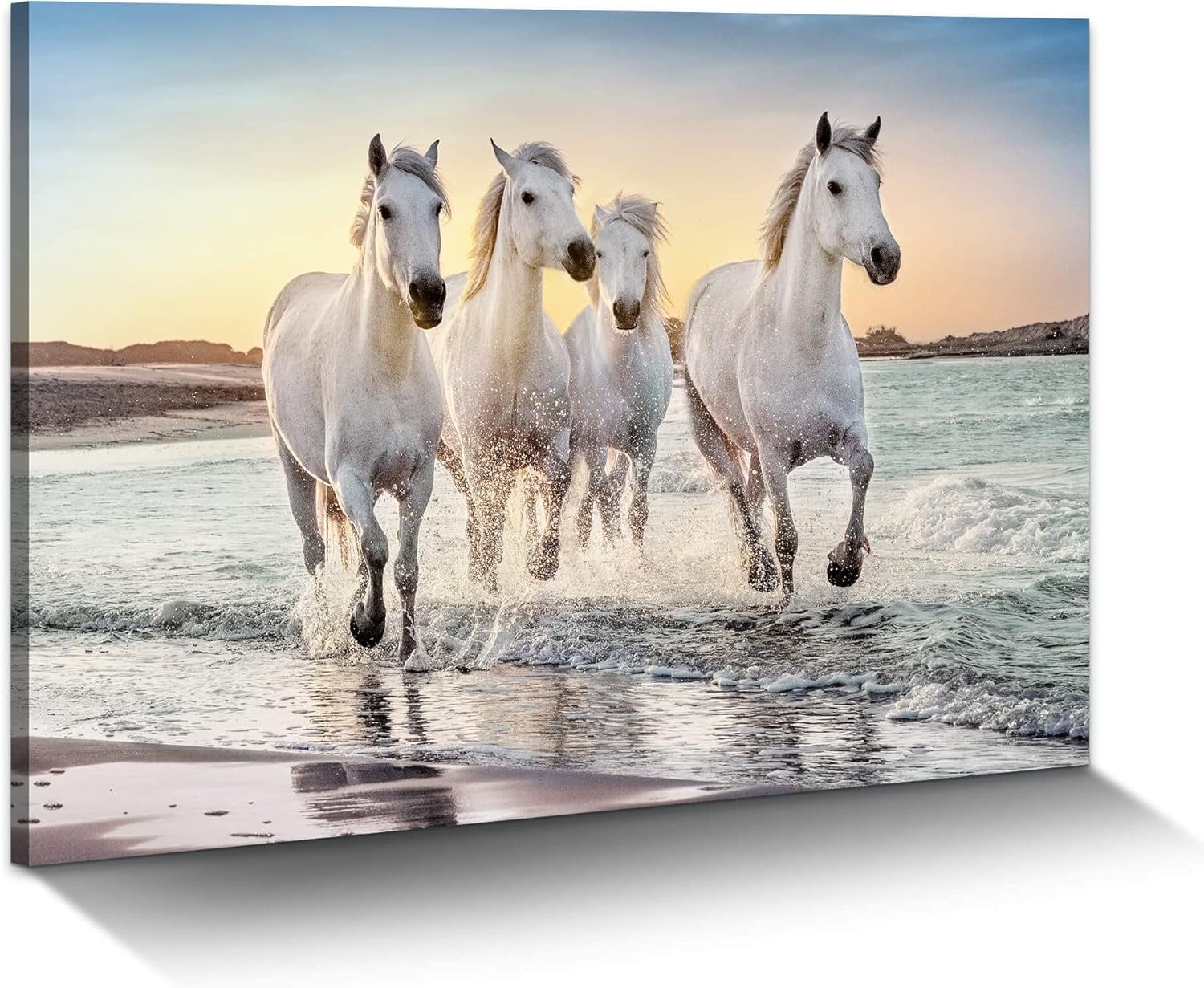 AEFER Beach Horse Canvas Wall Art: White Elegant Equines Photo Prints ...