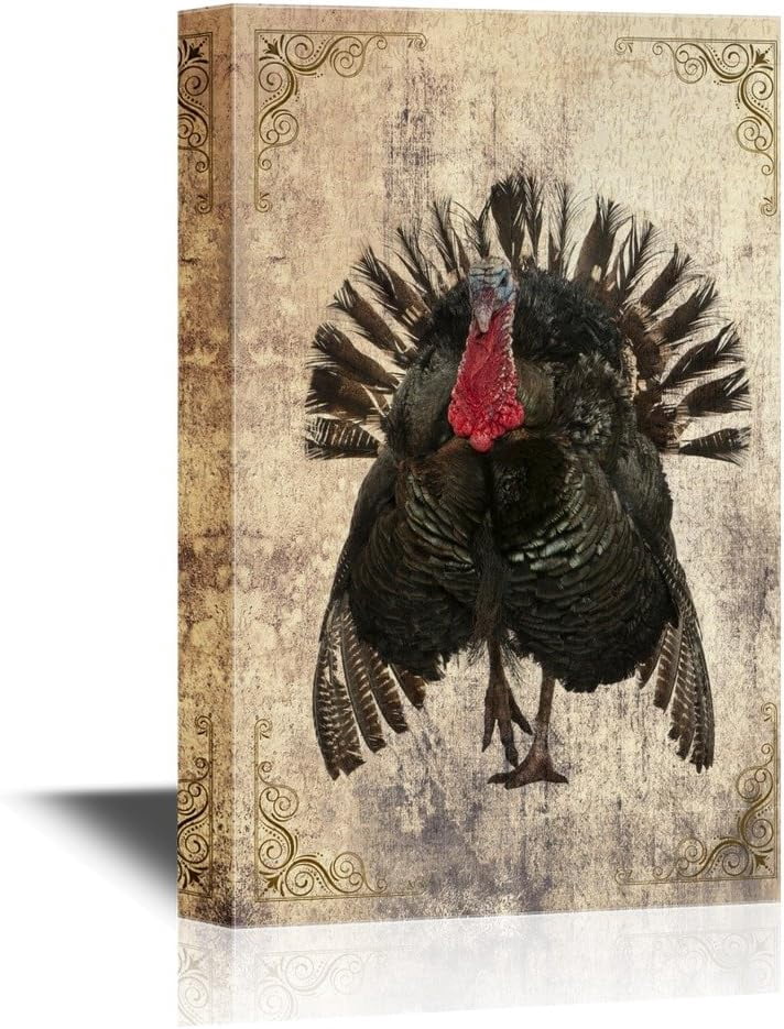 AEFER Birds and Poultry Canvas Wall Art - A Black Turkey - Gallery Wrap ...