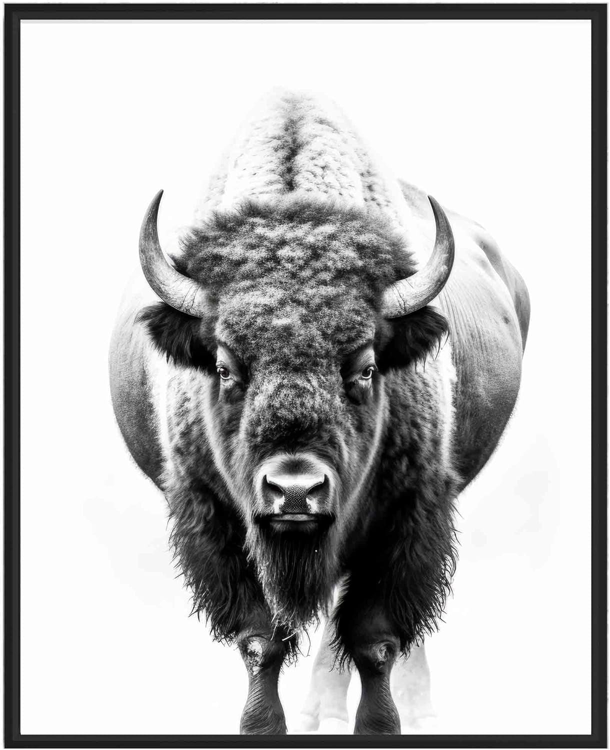 AEFER Bison Art Prints Posters, Black and White Photography Wall Art ...