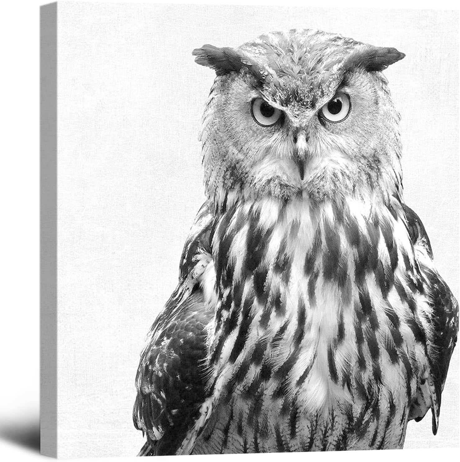 AEFER Black and White Owl Canvas Wall Decor Wild Animal Owls Picture ...