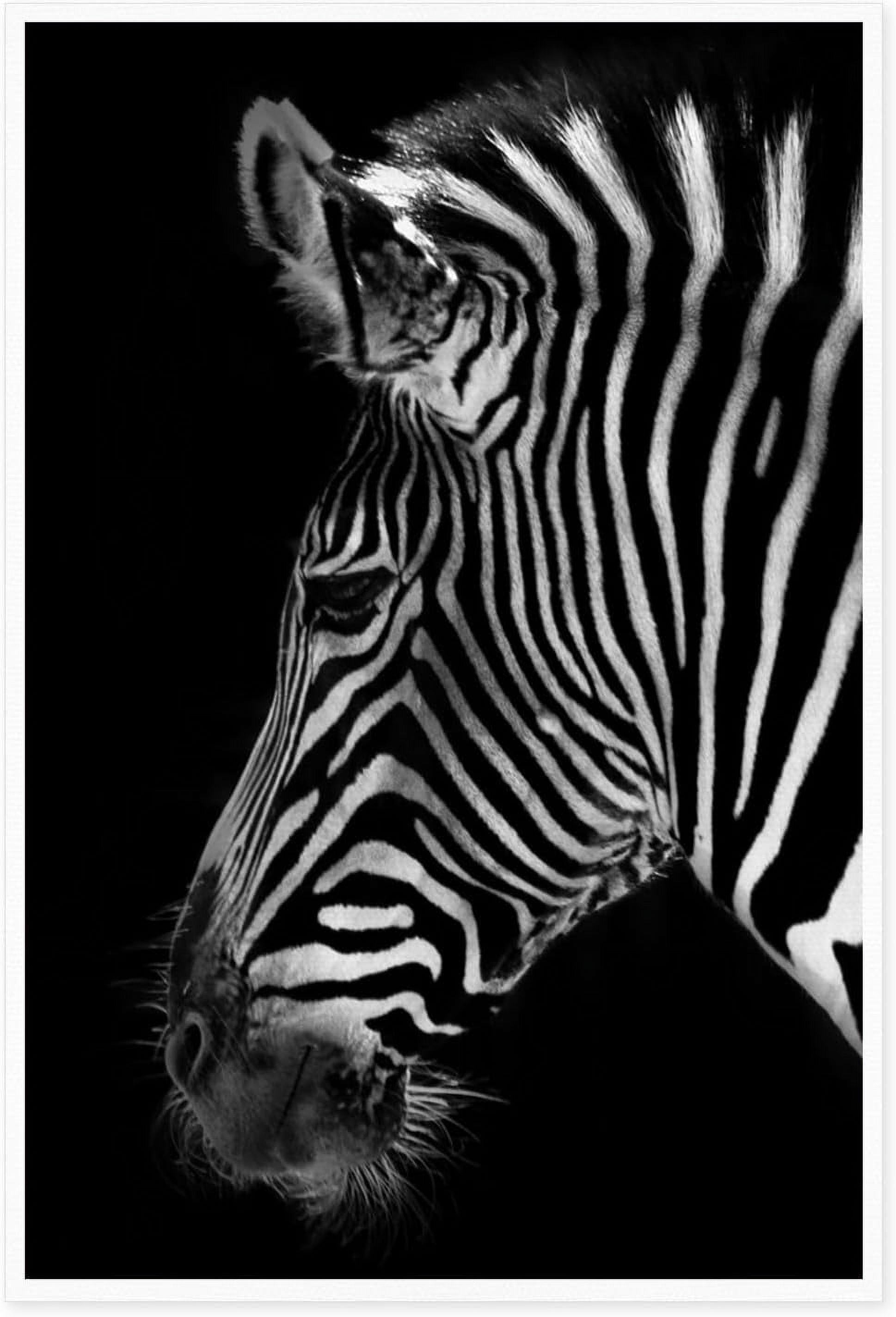AEFER Black And White Zebra Canvas Painting Modern Abstract Wall Art ...