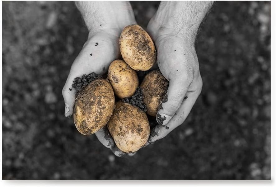 AEFER Black and White Photo Posters, Premium Photo Art, Poster Printing ...