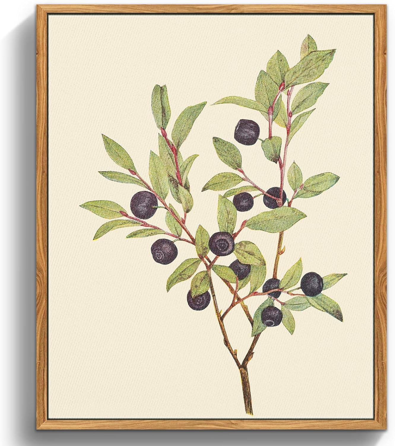 AEFER Botanical Framed Wall Art, Blueberry Plant Canvas Prints ...