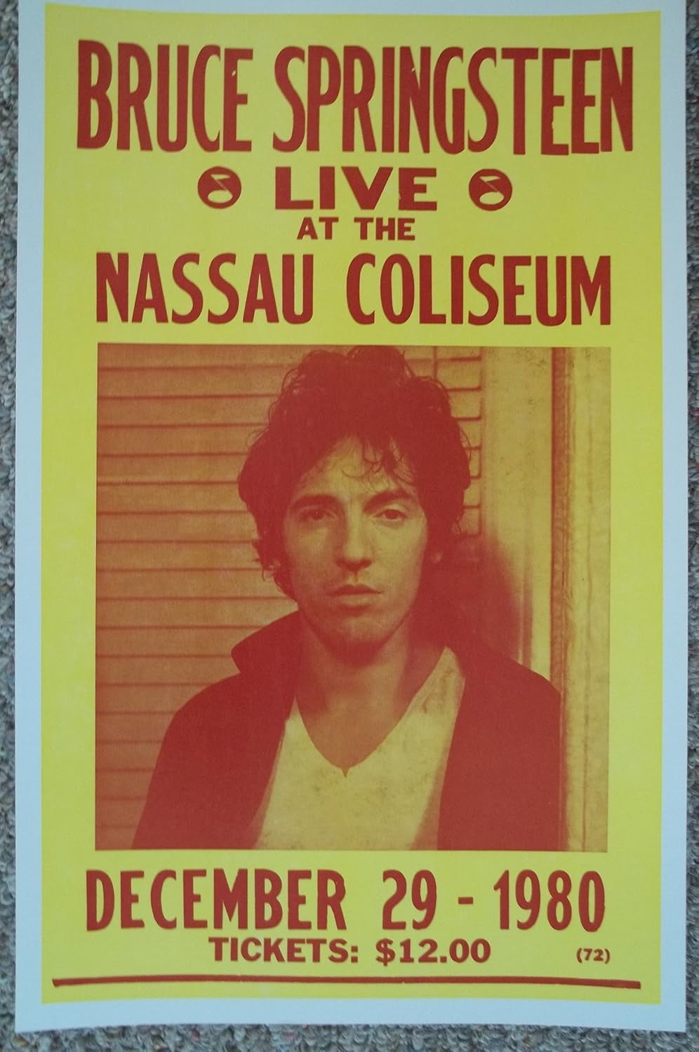 AEFER Bruce Springsteen at the Nassau Colliseum Concert Poster Unframe ...
