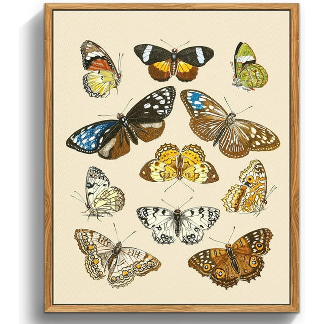 AEFER Butterfly Framed Wall Art, Nature Insect Vintage Canvas Prints ...