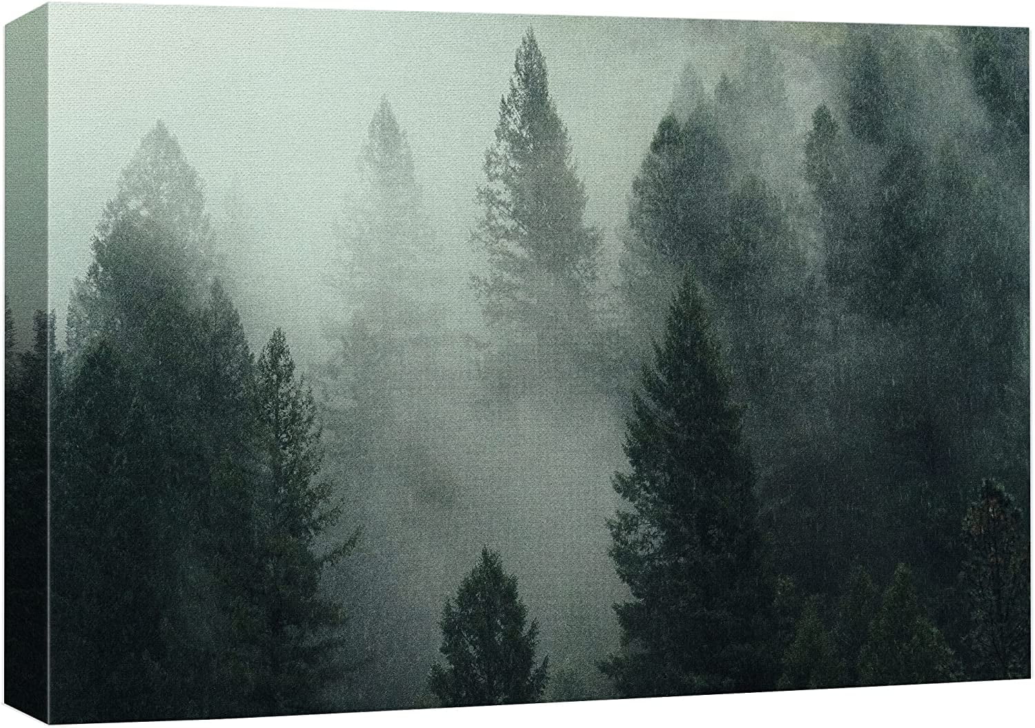 AEFER Canvas Print Wall Art Aerial View of Foggy Pine Tree Forest ...