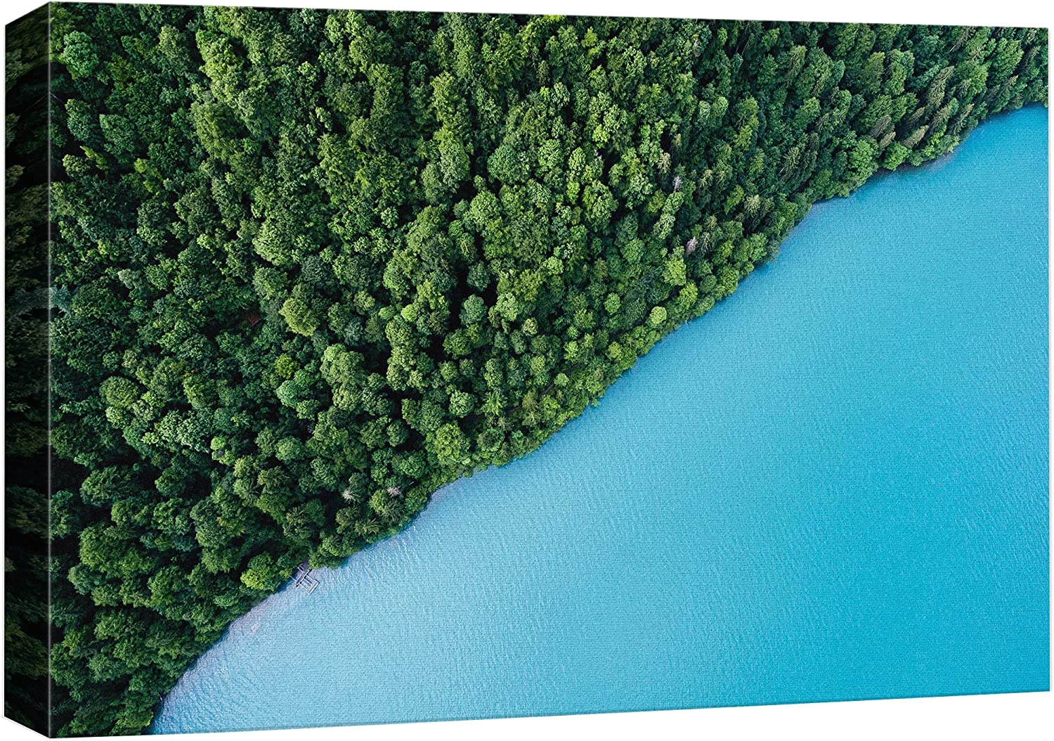 AEFER Canvas Print Wall Art Aerial View Neon Green Forest Lake Ocean ...