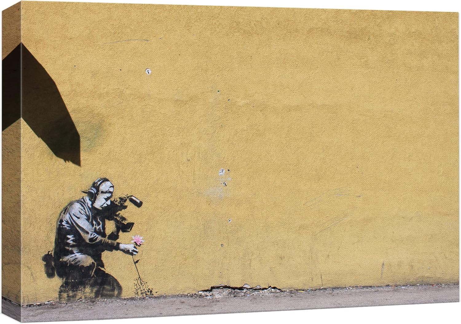 AEFER Canvas Print Wall Art Banksy Camera Mean Pulls Pink Flower ...